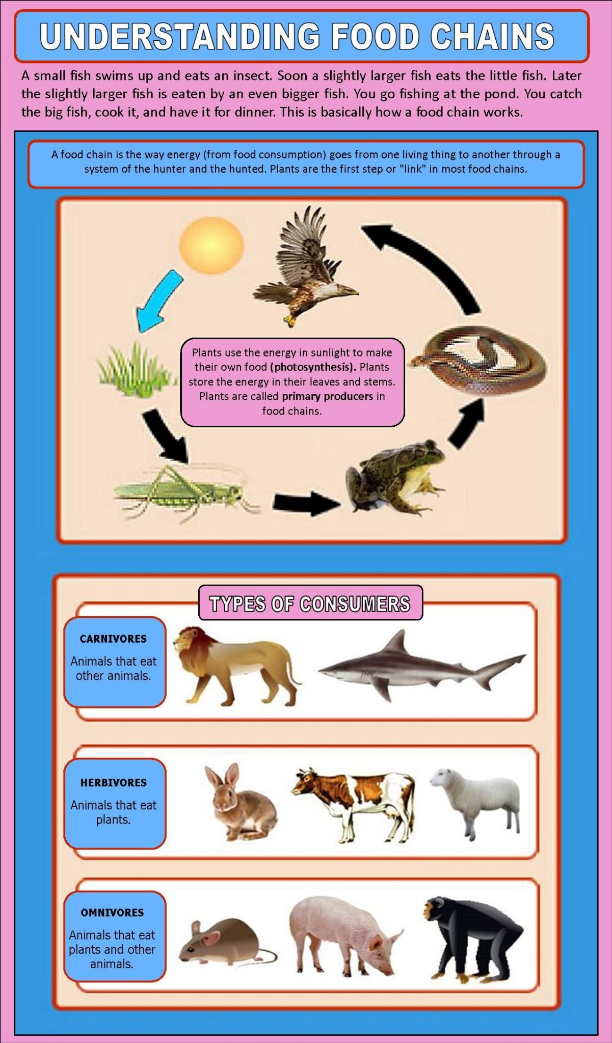 EDUCOMICS