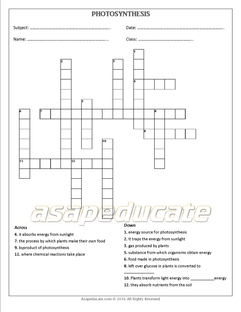 Photosynthesis crossword puzzle – asapeducate